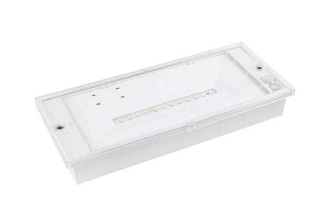 Surface Mounted Emergency Light – Delight Philippines